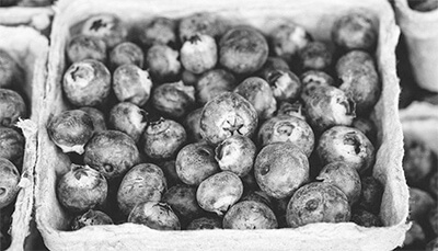 What is Lab Color in Photoshop (Quick Facts & Guides)