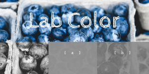 What is Lab Color in Photoshop (Quick Facts & Guides)