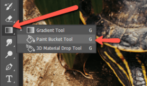 Where is Paint Bucket Tool in Photoshop (And How to Use It)