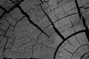 10 Free Wood Patterns and Textures for Photoshop